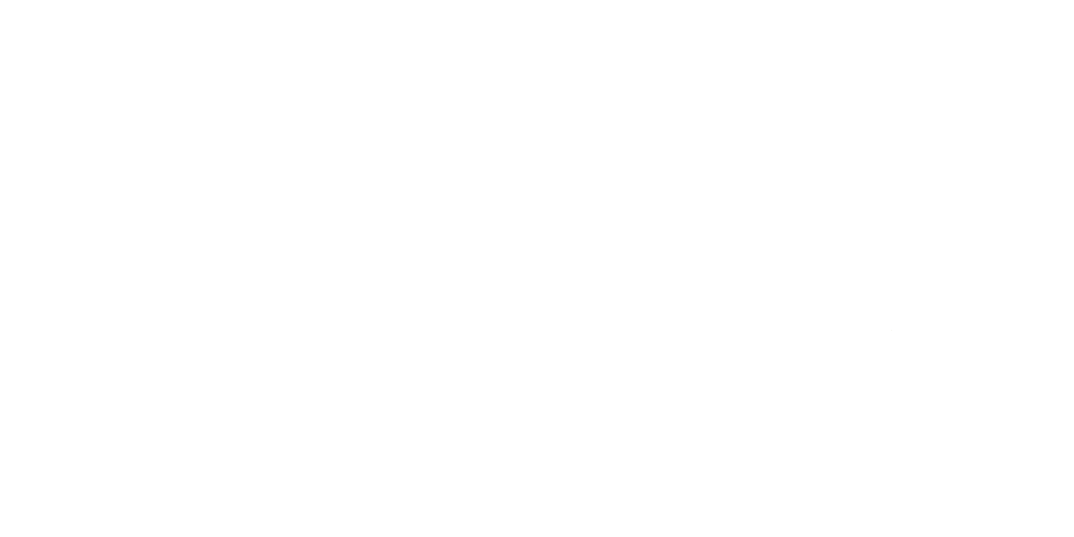 Fresh Eucalyptus Bundle - Wildly Native Flower Farm