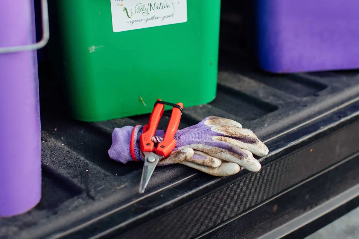 What is the best tool for flower cutting? | The Flower Files